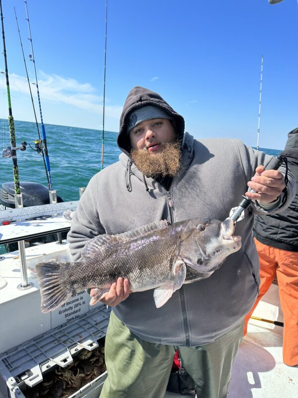 Jumbo Tog in the Ocean and First Keeper Tog in the Bay - Ocean City MD ...